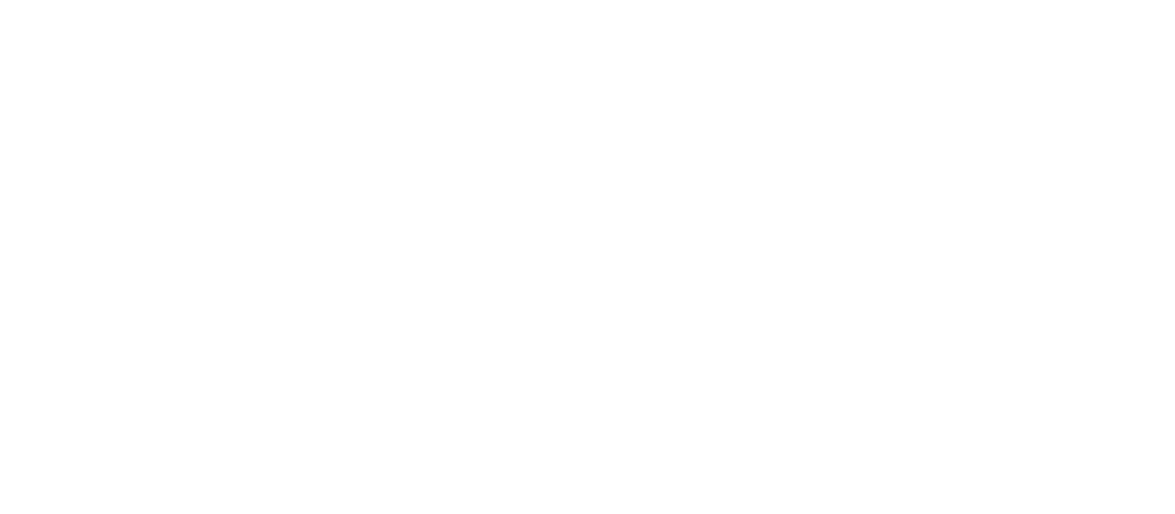 XDev – Your digital transformation partner